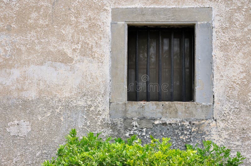Green Bush Under Window of Aged House Stock Photo - Image of plant ...