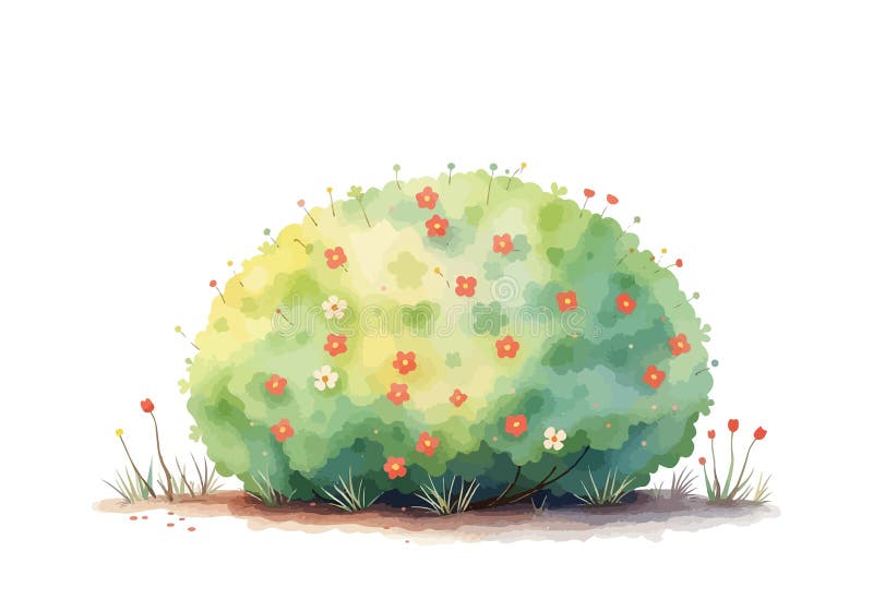 Green Bush Watercolor Vector Illustration. Stock Illustration ...