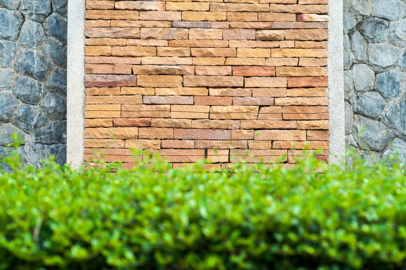 Green Bushes and Brick Wall Stock Photo - Image of brickwork, concrete ...