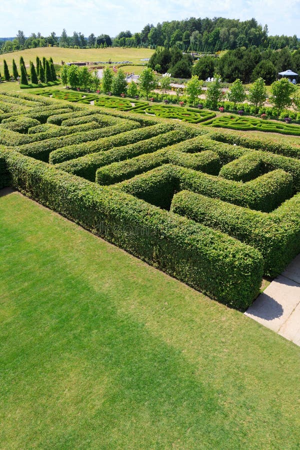 Green bushes maze stock photo. Image of design, nature - 100402764