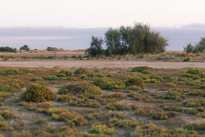 Plain beach scenery stock image. Image of alone, vacation - 4505713
