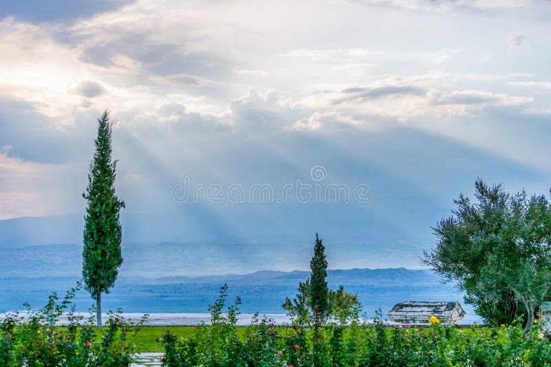 Green Bushes and Trees Mountain View Stock Image - Image of landmark ...