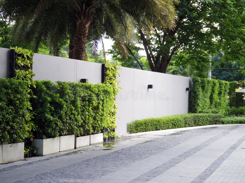 Green bushes wall stock photo. Image of leaf, stone, fence - 43674654