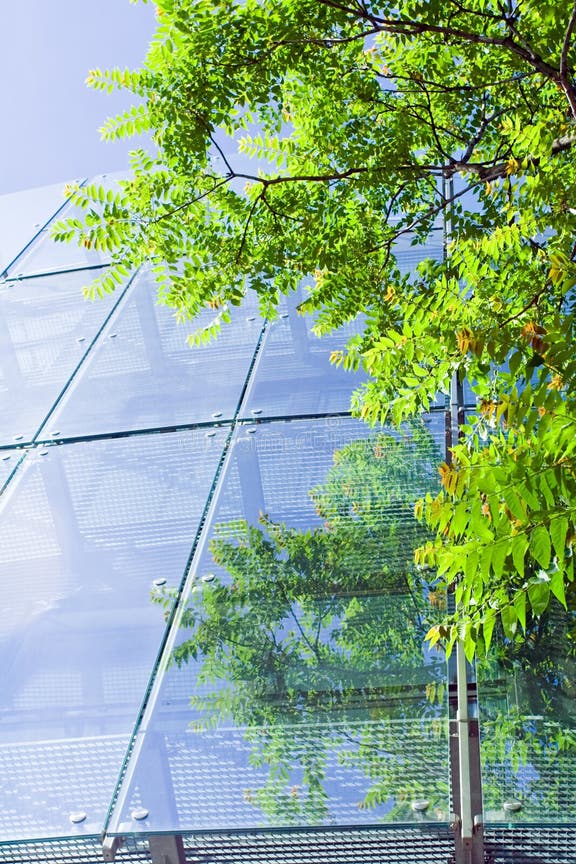 Green business building stock photo. Image of vertical - 15830412