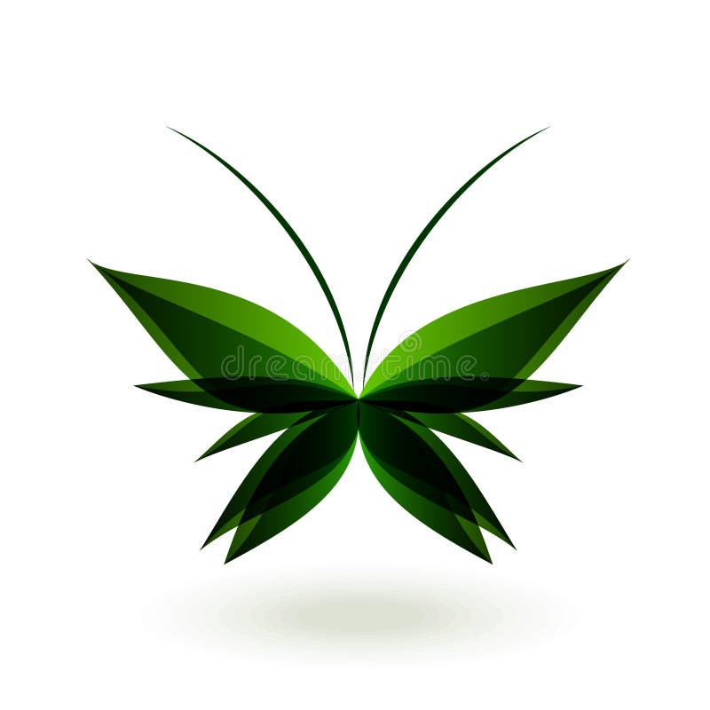 Green Butterfly stock vector. Illustration of brown, spot - 13763372