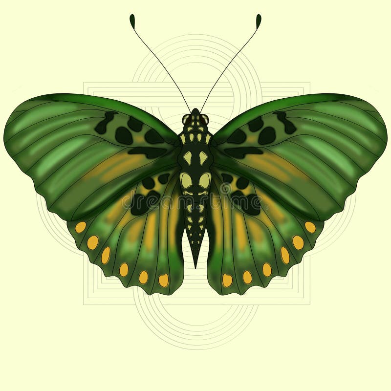 Green Butterfly with a Gradient on the Pattern. Stock Illustration ...