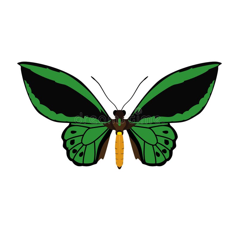 Green Butterfly Icon. Insect Design. Vector Graphic Stock Illustration ...