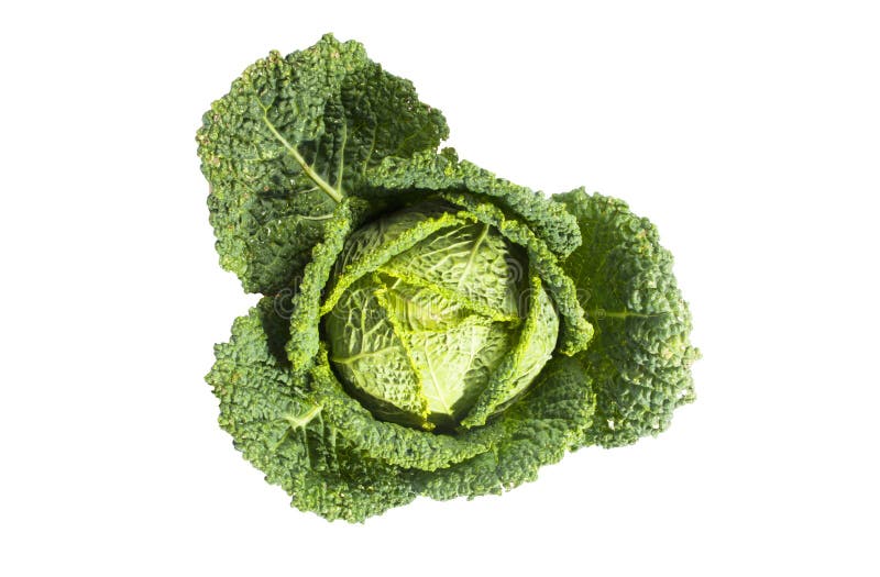 Green Cabage Isolated on White Stock Photo - Image of outer, isolated ...