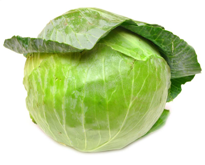 Green cabbage stock image. Image of salad, foliage, garden - 15966227