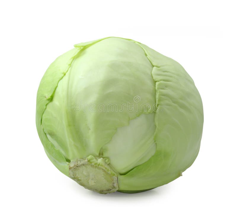 Cabbage and Green Vegetable Collection Stock Image - Image of celery ...
