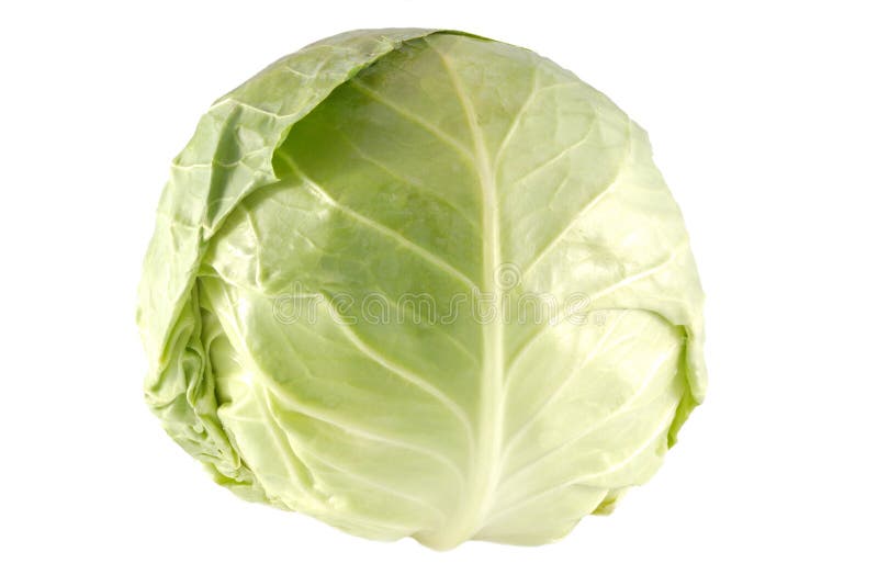 Cabbage stock image. Image of cabbage, vegetable, color - 9904579