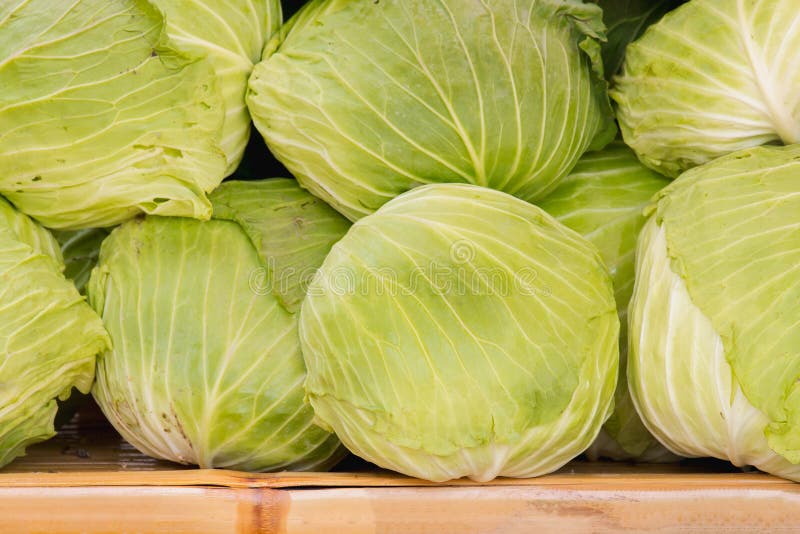 Green cabbage stock image. Image of cabbage, nature, vegetable - 69986295