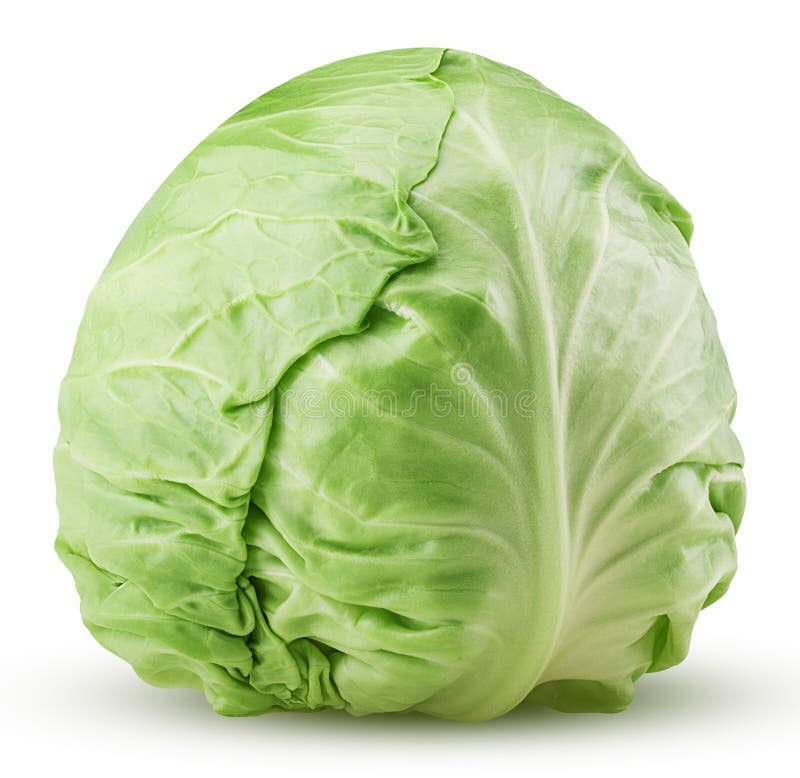 Green cabbage cut in half stock photo. Image of clipping - 104765918