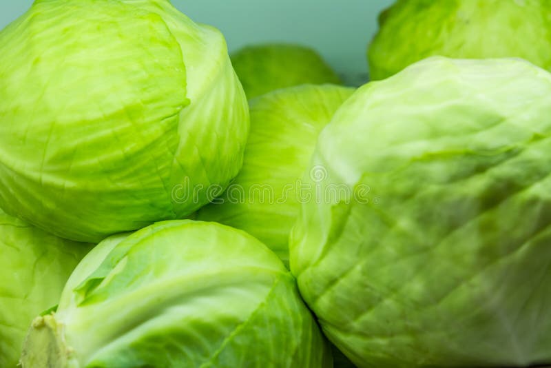 Green cabbage stock image. Image of healthy, nutrient - 88397535