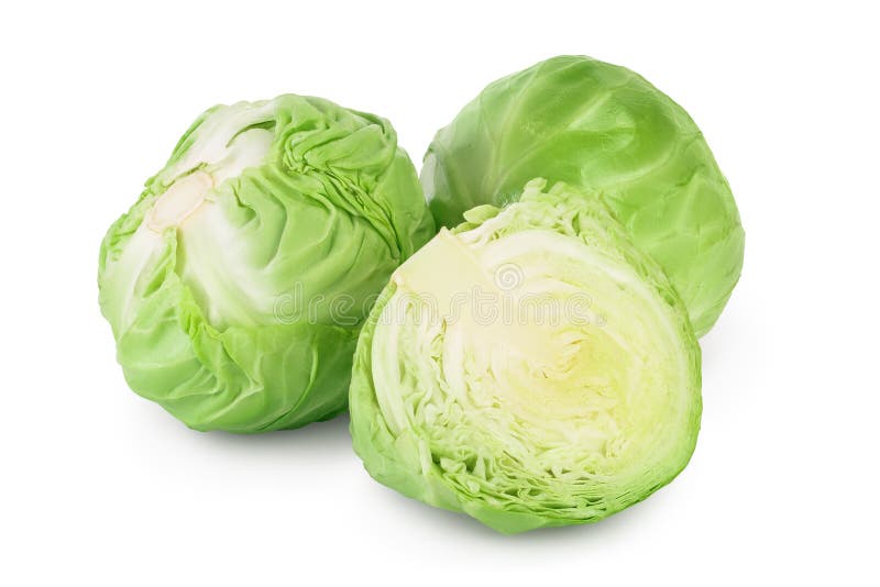 Red cabbage cut in half stock photo. Image of cabbage - 14343638