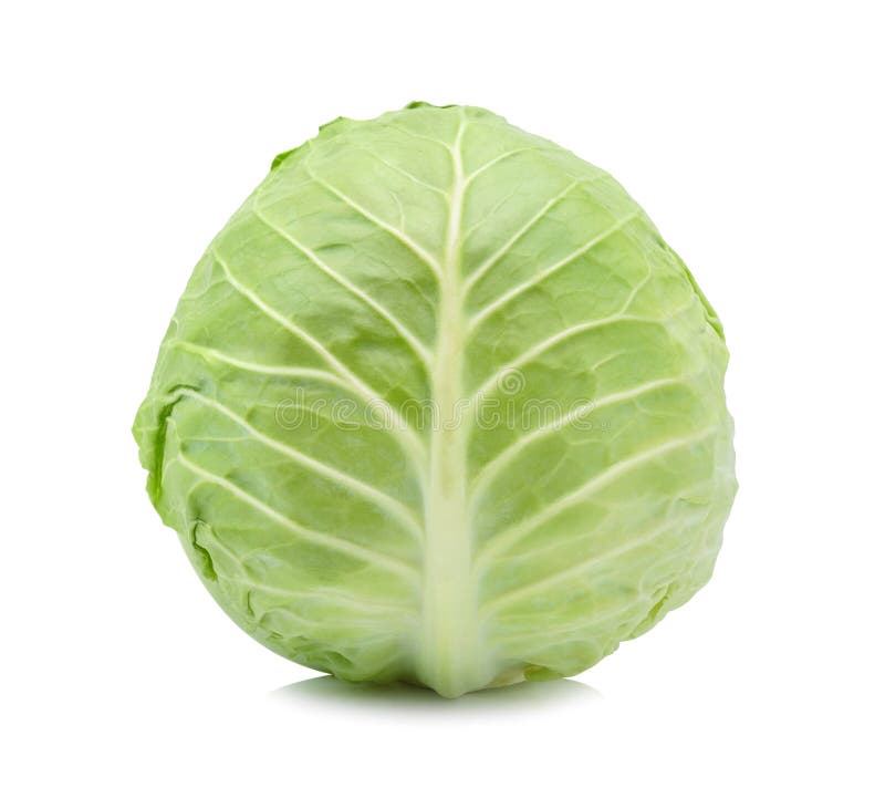 Green Cabbage Isolated on White Background Stock Image - Image of food ...