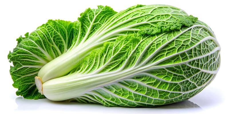 Green Cabbage Isolated on White Stock Illustration - Illustration of ...