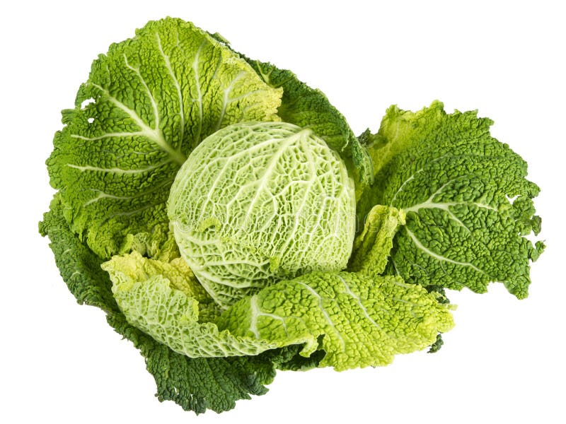 Green Cabbage Isolated on White Stock Image - Image of vegetarian ...