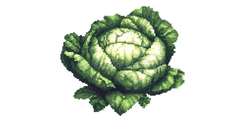 Cabbage Pixel Art. Head of Cabbage 8 Bit. Pixelate Vegetable Stock ...