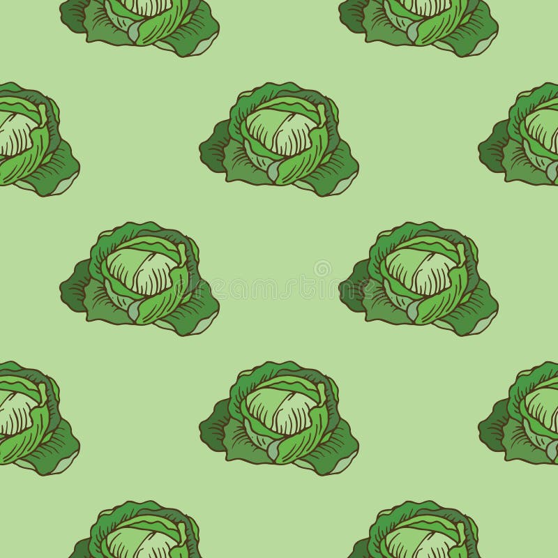 Green Cabbage Seamless Pattern Stock Vector - Illustration of plant ...