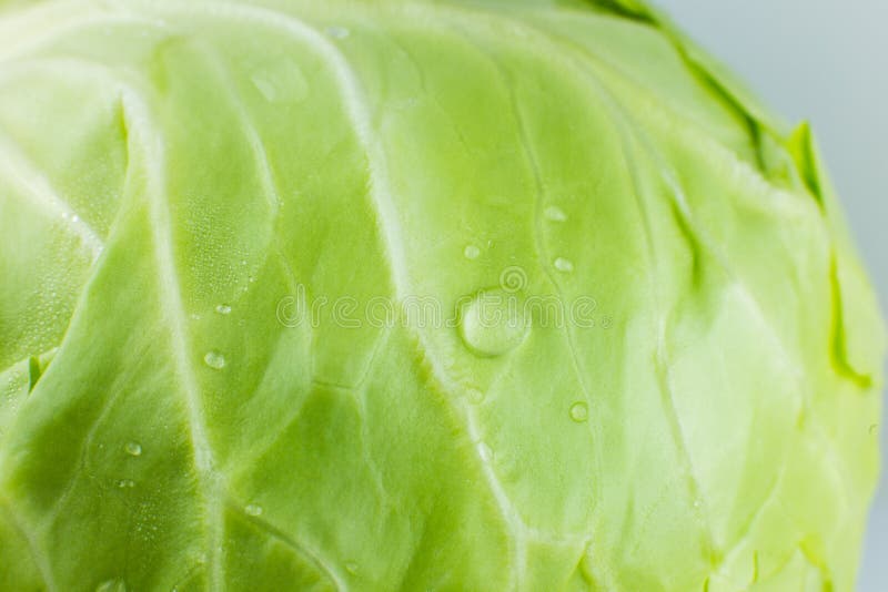 Green Cabbage Texture Background. Close Up Stock Photo - Image of kale ...