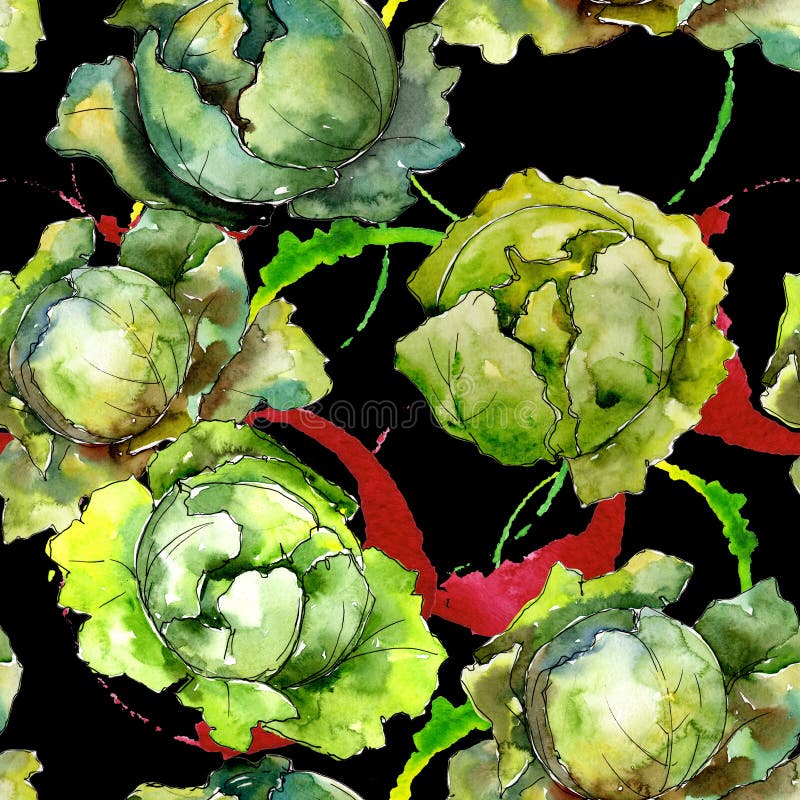 Green Cabbage Vegetables in a Watercolor Style Pattern. Stock ...