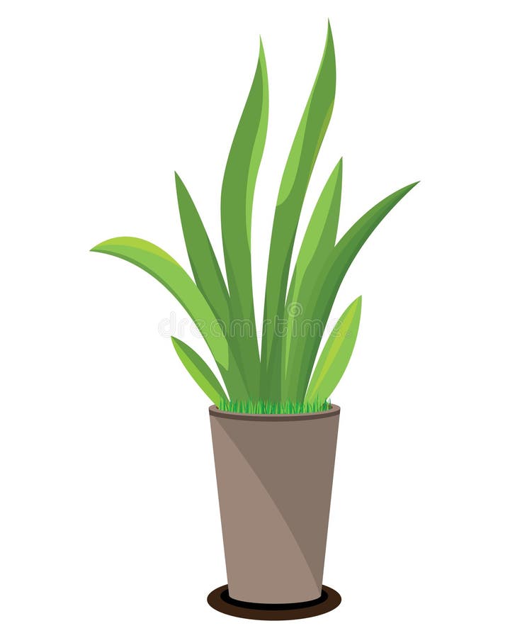 Green Cactus Plant in Brawn Pot Vector Design Stock Vector ...