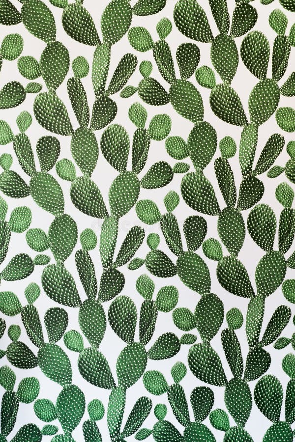 Green Cactus Surface. Use for Texture or Background Stock Photo - Image ...