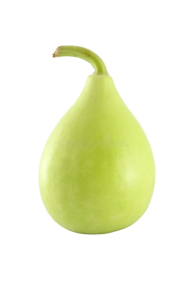 Green Calabash vegetable stock image. Image of ripe, fresh - 14593141