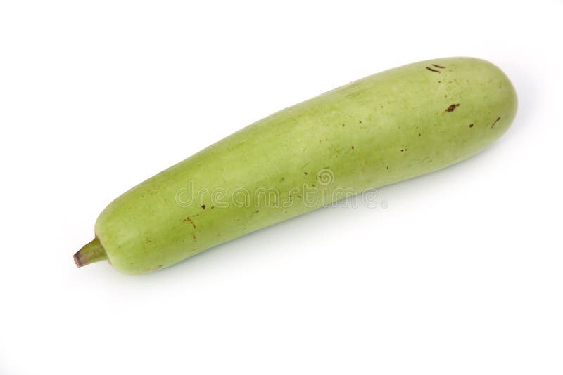 Green Calabash vegetable stock image. Image of ripe, fresh - 14593141