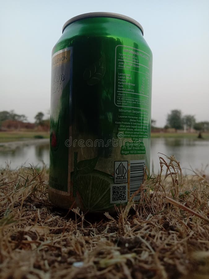 A Green Can in the Green Lake at Afternoon Editorial Stock Photo ...