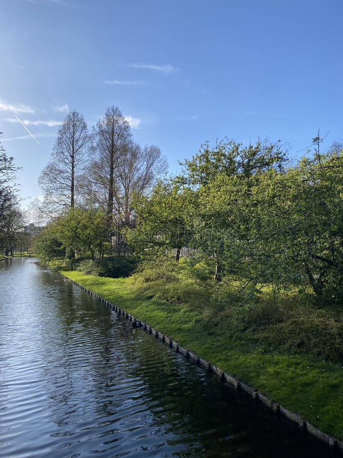 Green Canal with Trees and Reflections Stock Photo - Image of ...