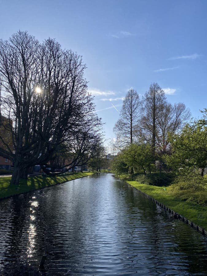 Green Canal with Trees and Reflections Stock Photo - Image of dutch ...
