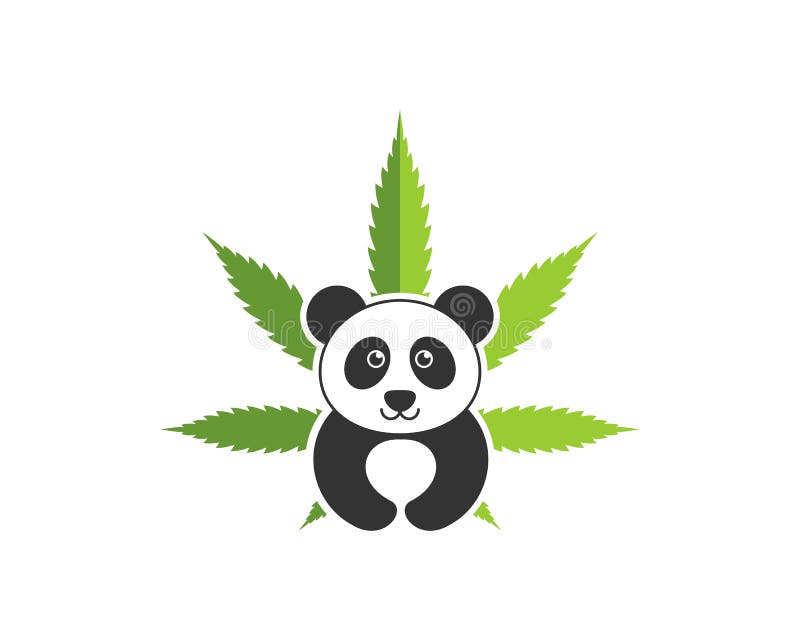 Green Cannabis Leaf with Cute Panda Inside Stock Illustration ...