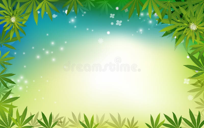 Green Cannabis Leaf Drug Marijuana Herb Background. Stock Illustration ...
