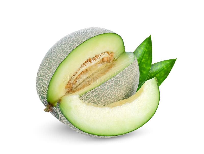 783 Muskmelon Leaf Stock Photos - Free & Royalty-Free Stock Photos from ...