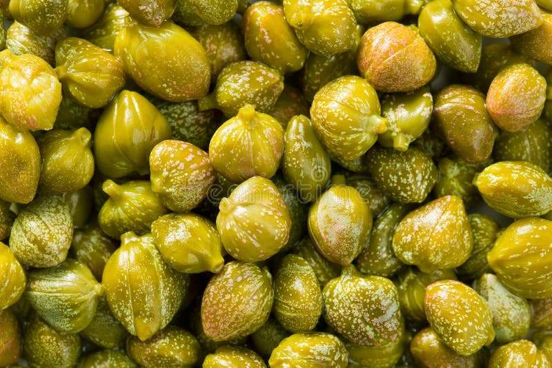 Green Capers stock image. Image of cuisine, veggies, capers - 48574787