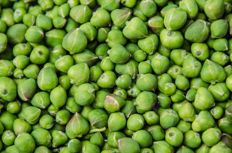 Green Capers stock image. Image of cuisine, veggies, capers - 48574787