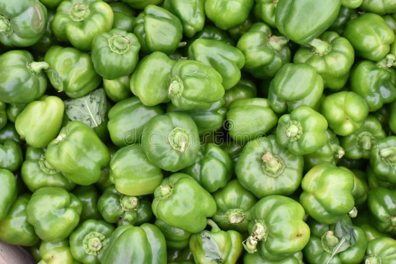 Green capsicum stock image. Image of macro, organic - 100125259