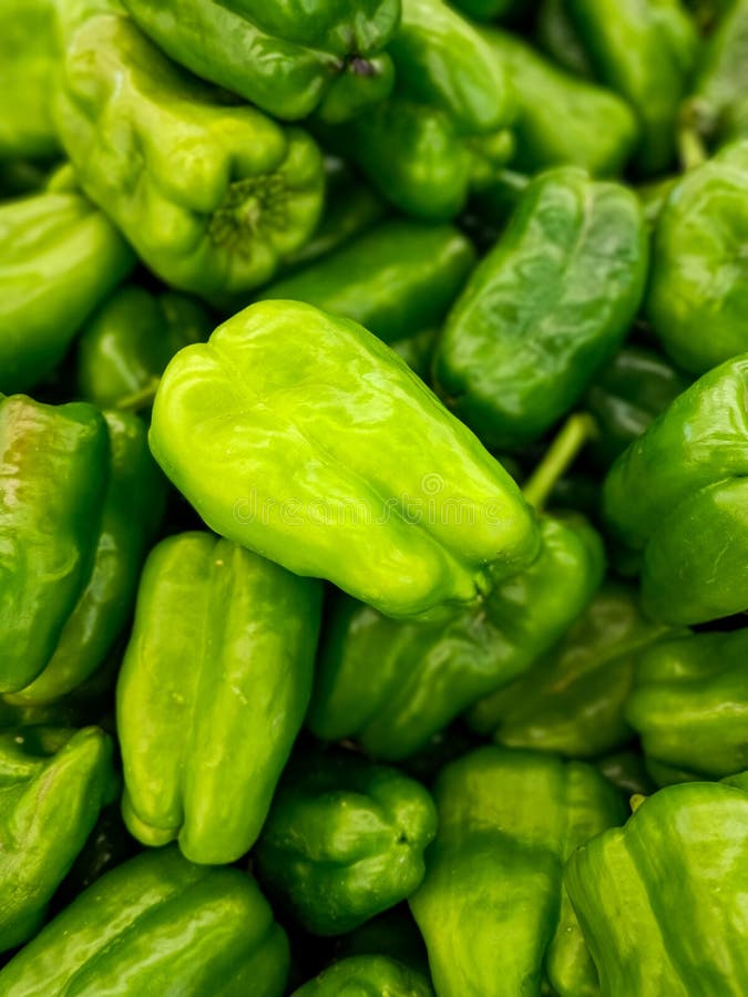 Green Capsicum in the Market Stock Image - Image of closeup, natural ...