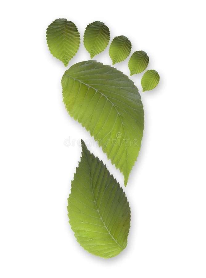 Green Carbon Leaf Footprint Stock Image - Image of leaf, green: 15987369
