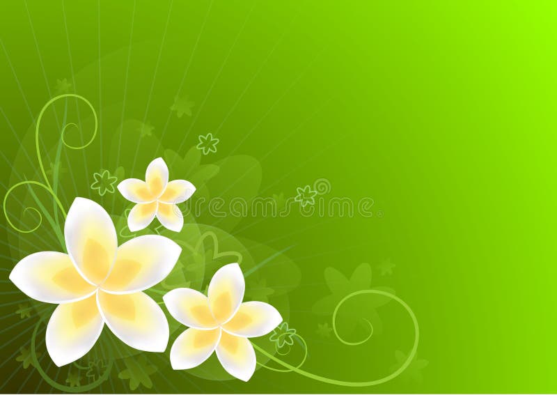 Green card with flowers stock vector. Illustration of card - 22843228