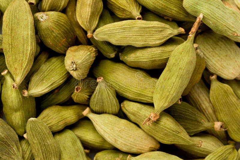 Green Cardamom (Elettaria Cardamomum) Stock Image - Image of texture ...