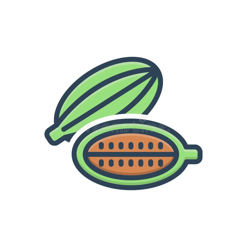 Color Illustration Icon for Green Cardamom, Green and Seeds Stock ...