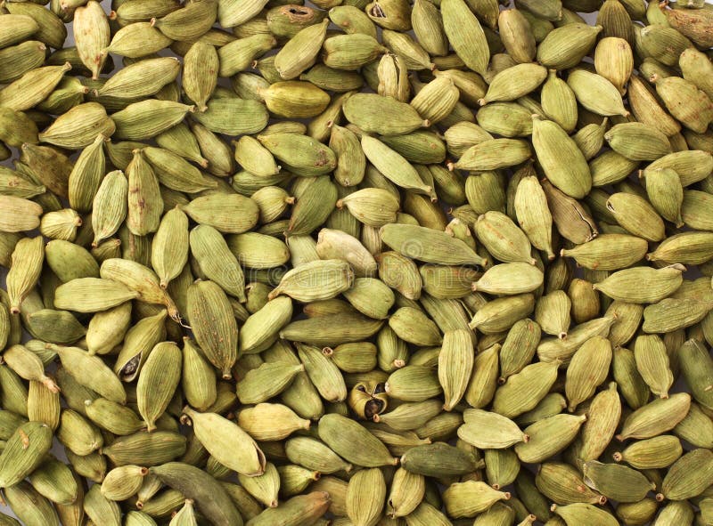 Green cardamom seeds stock photo. Image of closeup, fragrance - 21563086