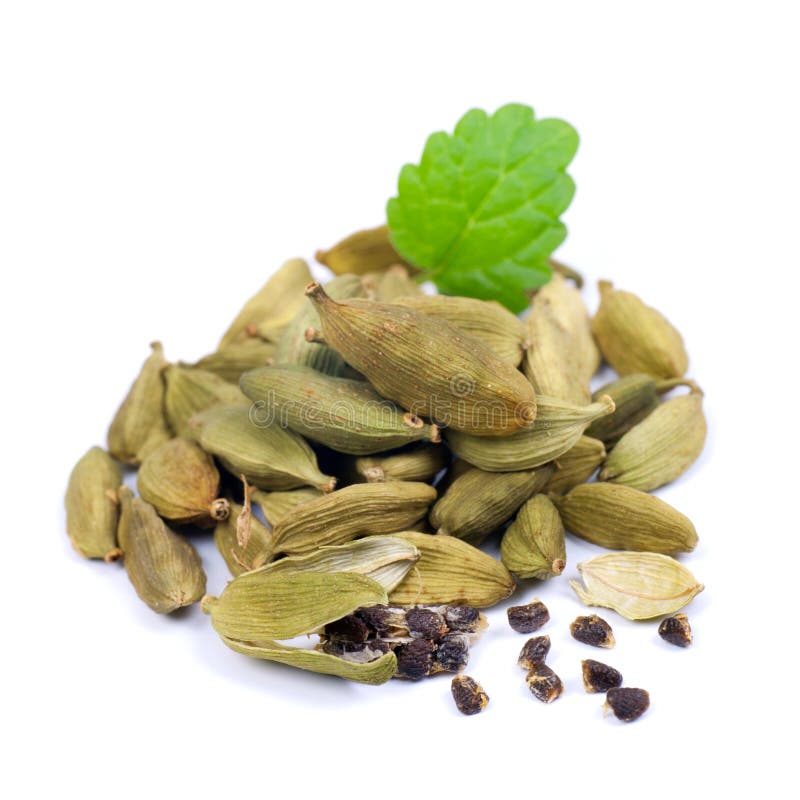 Cardamom stock image. Image of herb, seed, flavor, cardamom - 24169019