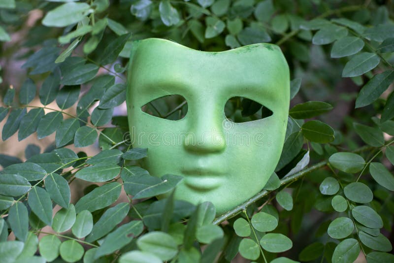 Green Carnival Mask Hidden in Tree Leaves Stock Image - Image of ...
