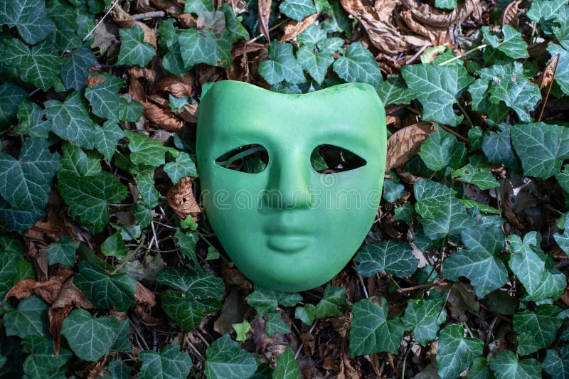 Green Carnival Mask Hidden in Tree Leaves Stock Photo - Image of ...