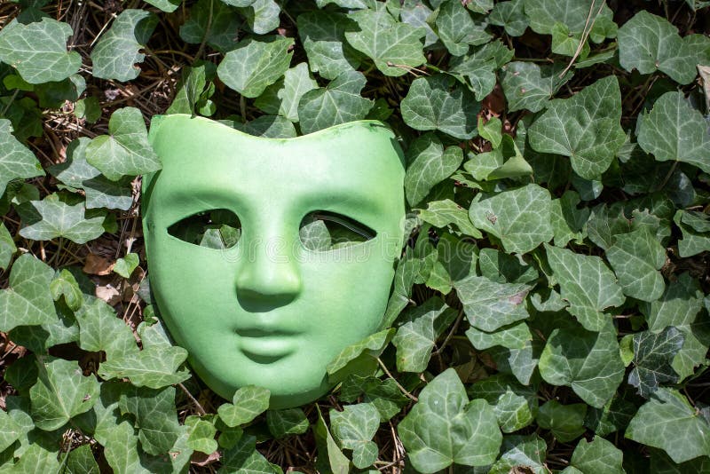 Green Carnival Mask Hidden in Tree Leaves Stock Image - Image of hiding ...