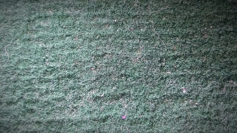 This is a Green Carpet Texture Dirty and Old Stock Photo - Image of ...